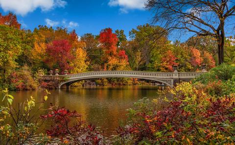 U.S.A. Our November Candle of the Month – IM HOME Candles